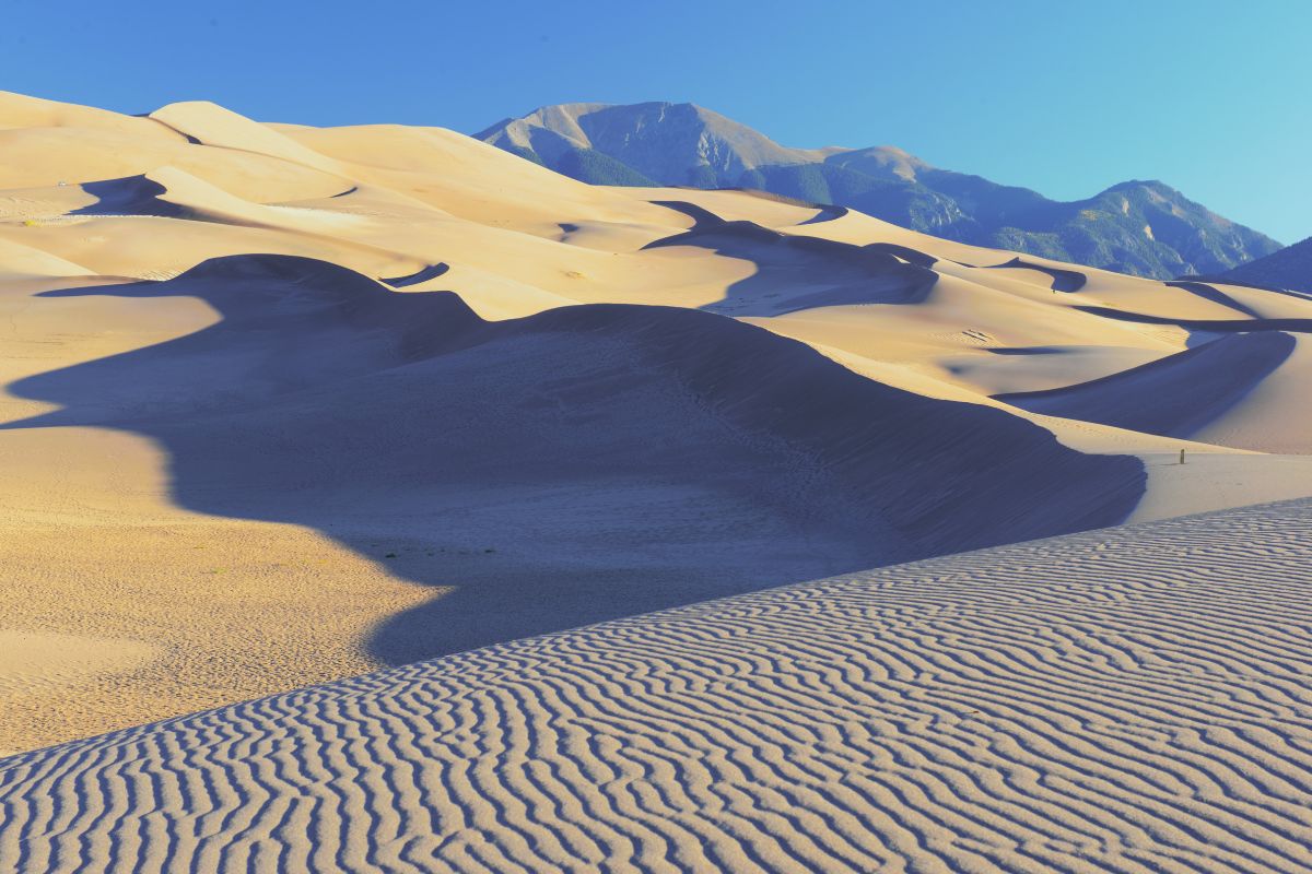How to Visit the Great Sand Dunes: A Local's Guide [2026]